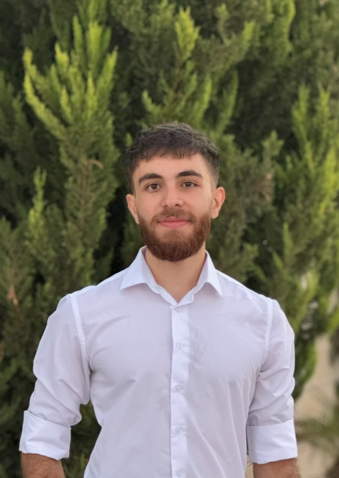 About Me - Hamed Bizreh